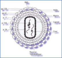 Therapie und Tagesklinik | BVPG